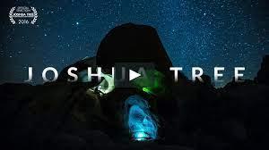 Image gallery for MTJP: Joshua Tree (S) - FilmAffinity