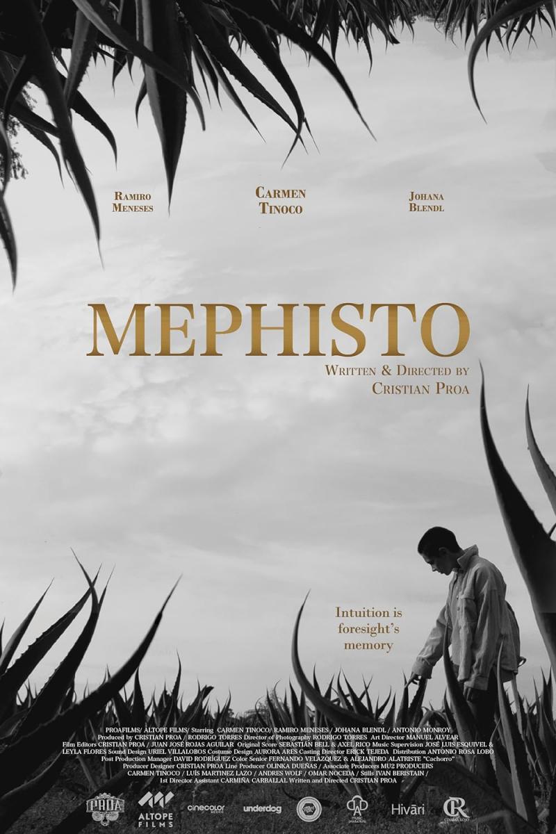 Image gallery for Mephisto - FilmAffinity