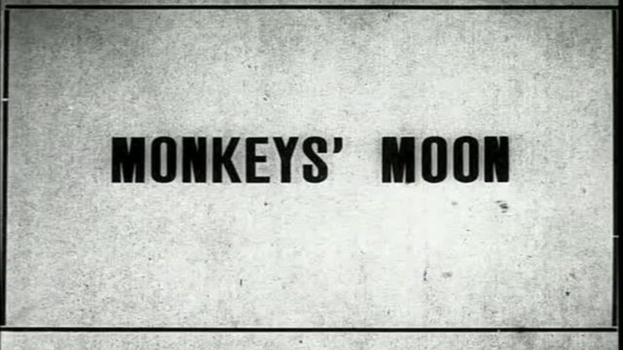 Sección visual de Monkeys' Moon (C) - FilmAffinity