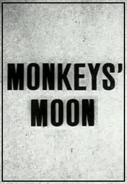 Image gallery for Monkeys' Moon (S) - FilmAffinity