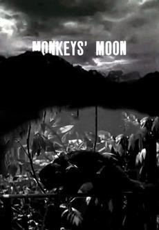 Image gallery for Monkeys' Moon (S) - FilmAffinity