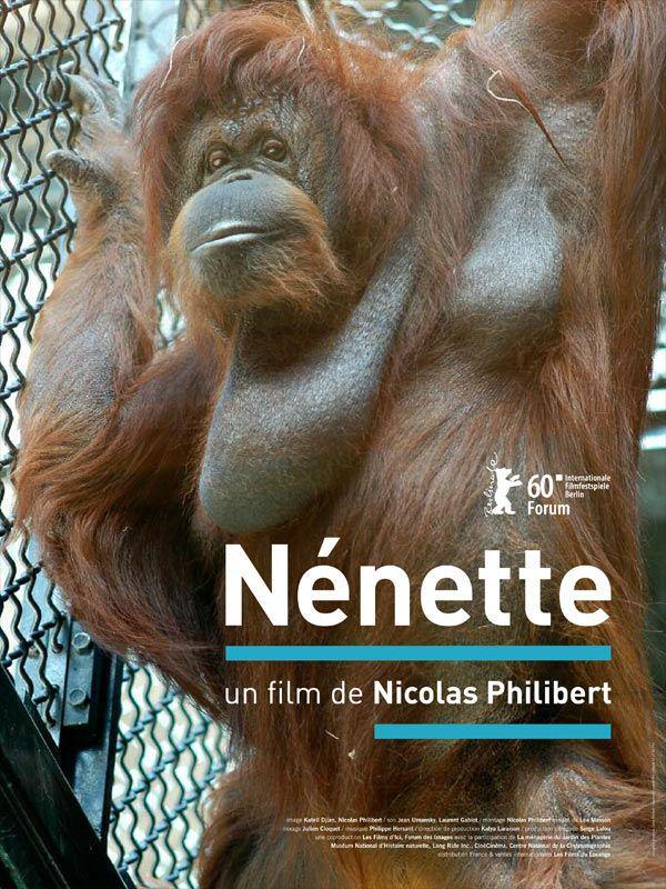 Image gallery for Nénette - FilmAffinity