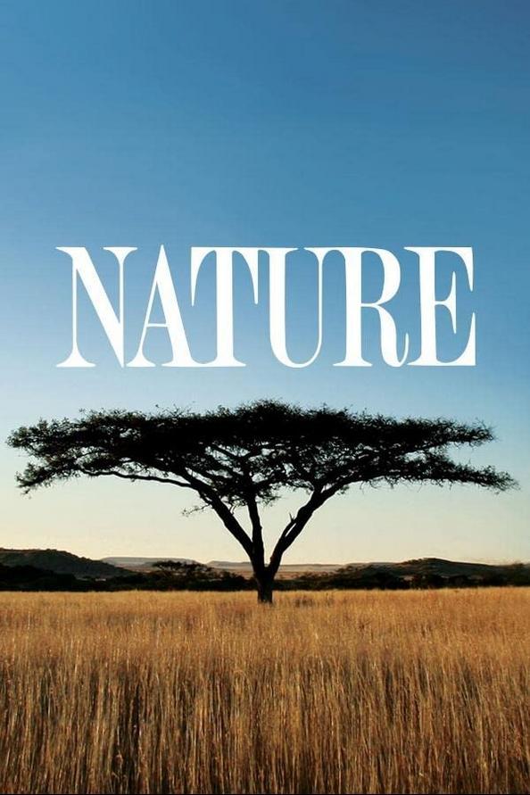 Sección visual de Nature (Serie de TV) - FilmAffinity