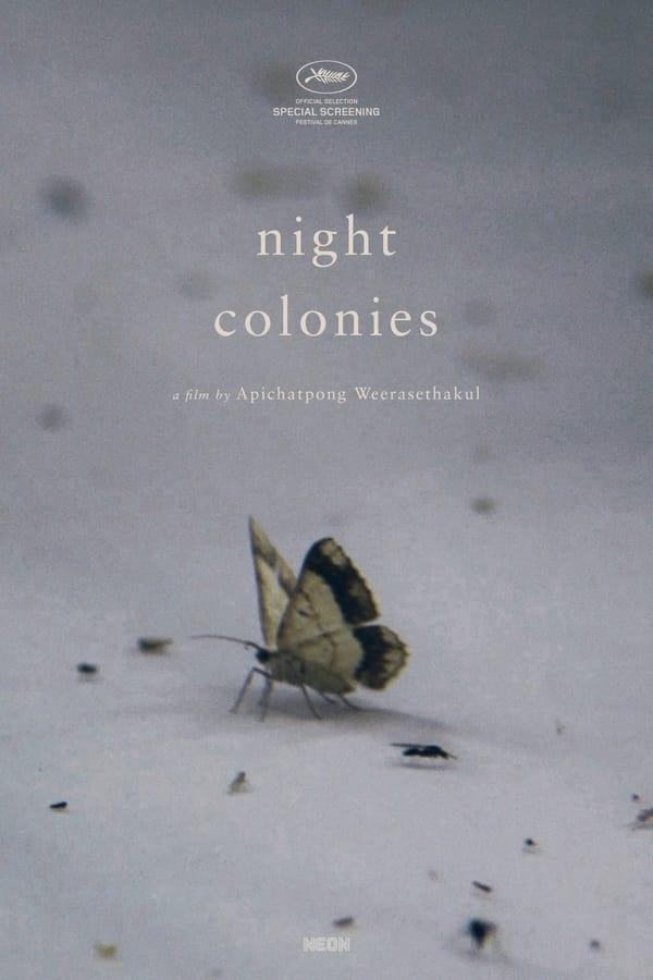 Sección visual de Night Colonies (C) - FilmAffinity