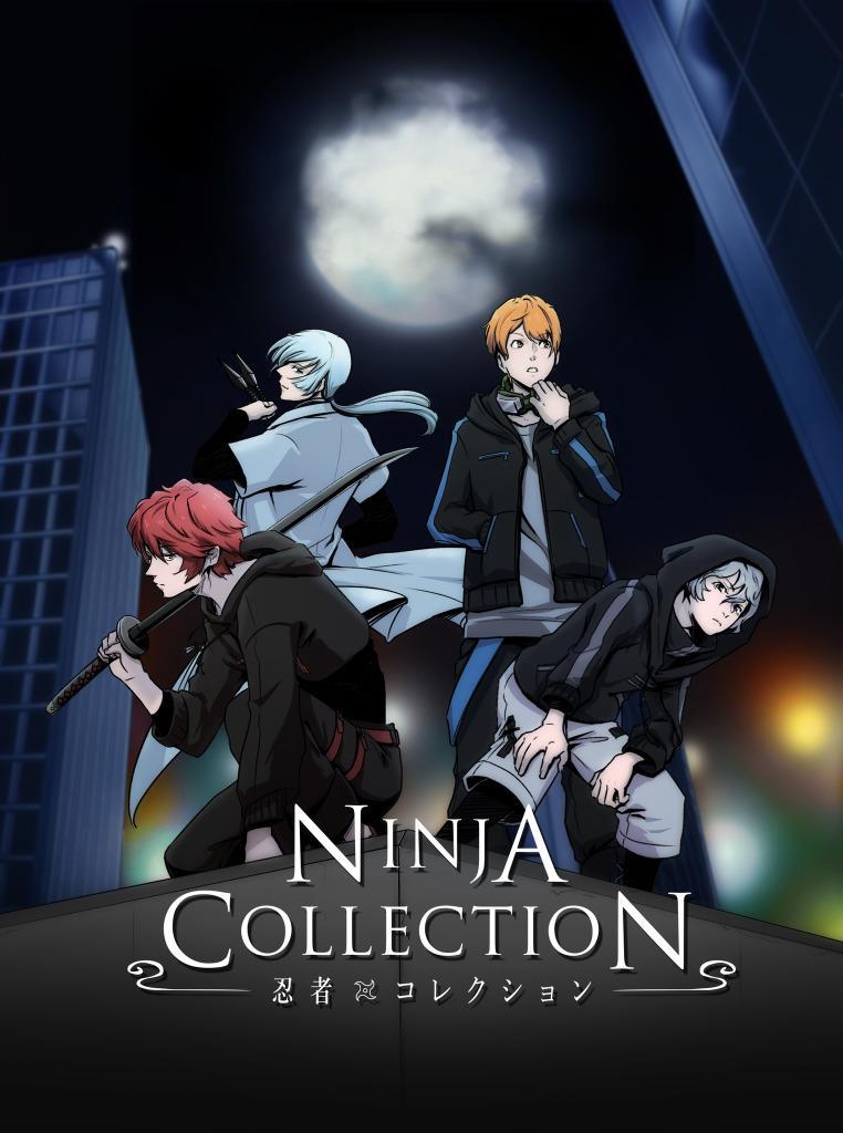 Sección visual de Ninja Collection (Serie de TV) - FilmAffinity