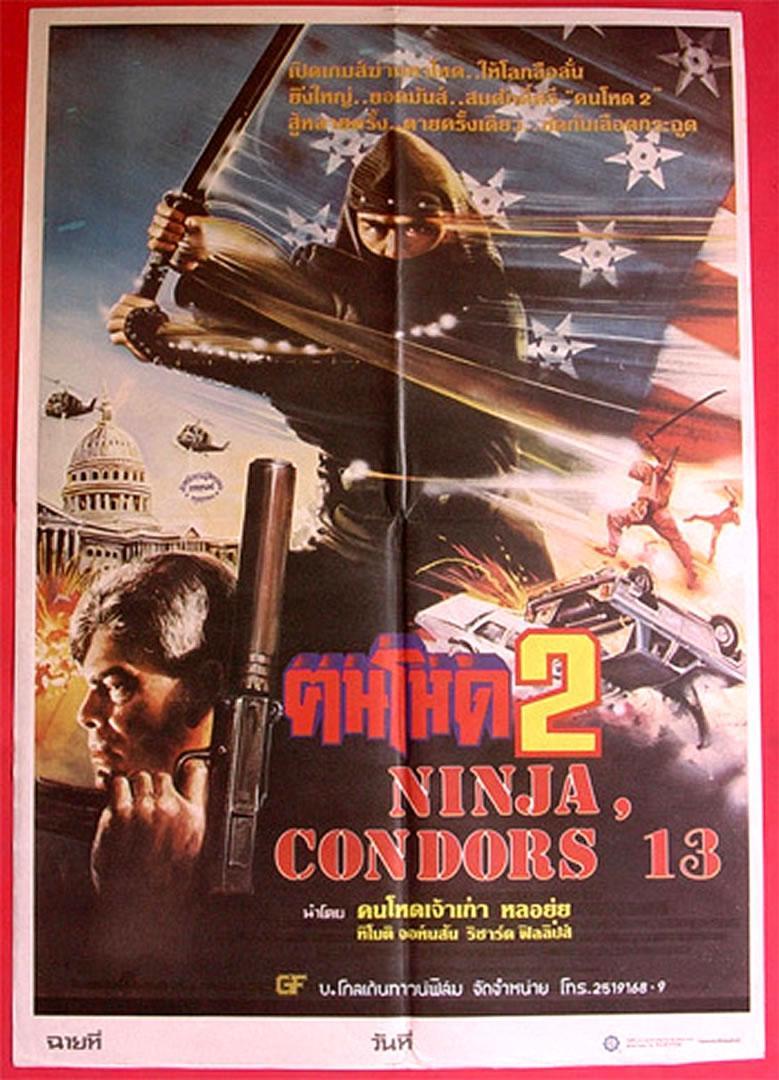 Sección visual de Ninjas, Condors 13 - FilmAffinity