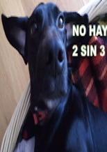 Sección visual de No hay 2 sin 3 (C) - FilmAffinity