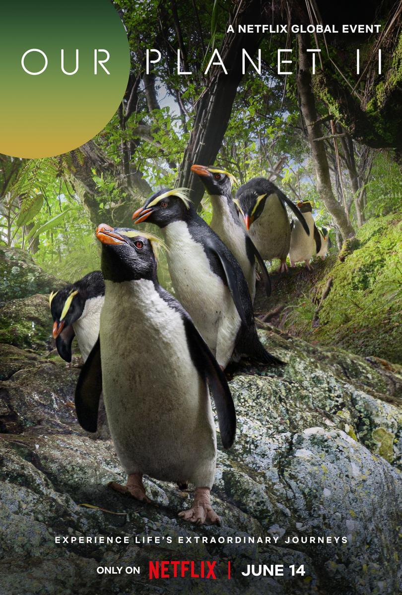 Sección visual de Nuestro planeta II (Miniserie de TV) - FilmAffinity