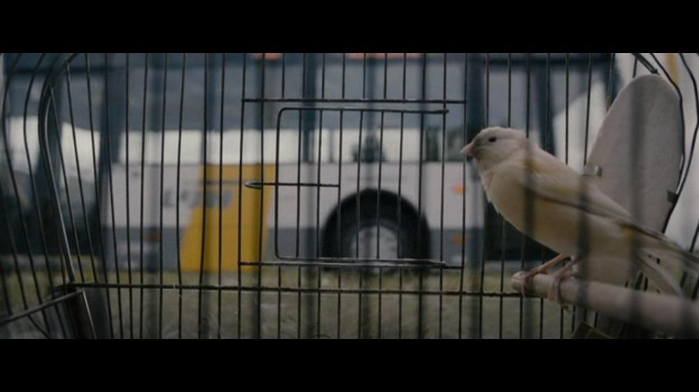 Image gallery for Offline - FilmAffinity