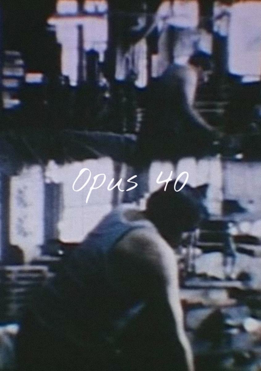 Image gallery for Opus 40 (S) - FilmAffinity