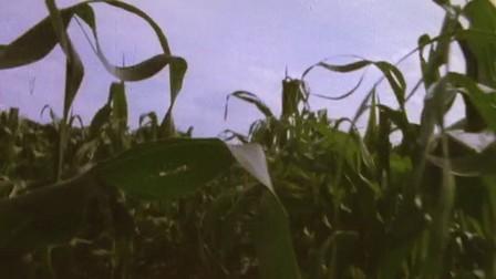 Sección visual de Pan 3 (C) - FilmAffinity