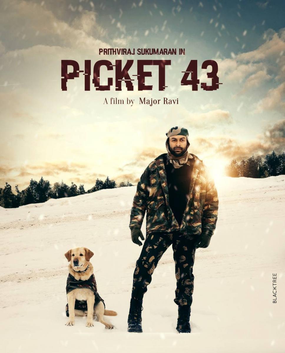 Sección visual de Picket 43 - FilmAffinity
