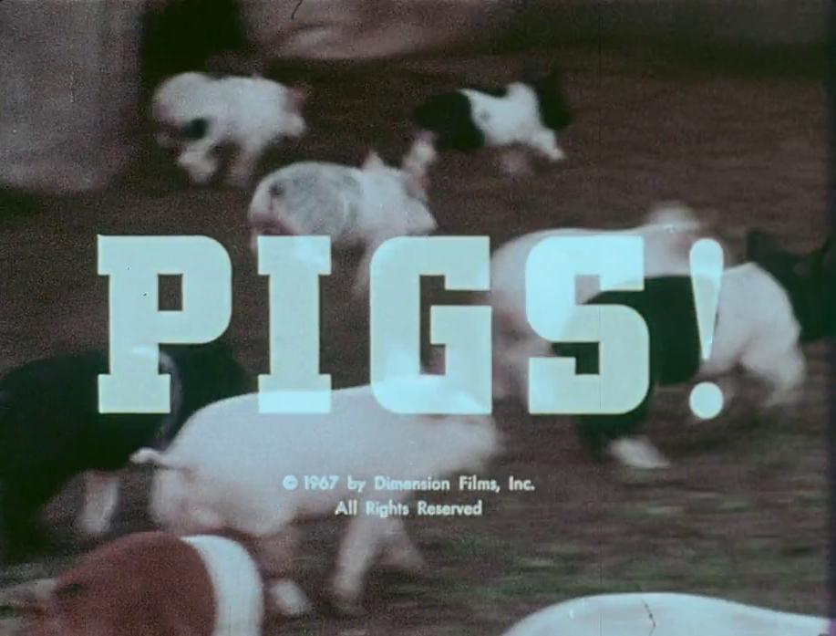 Sección visual de Pigs! (C) - FilmAffinity