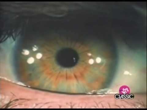 Image gallery for Pink Floyd: Brain Damage/Eclipse - Version 1 (Music ...