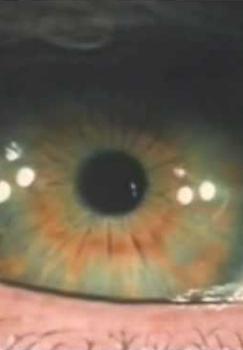 Image gallery for Pink Floyd: Brain Damage/Eclipse - Version 1 (Music ...