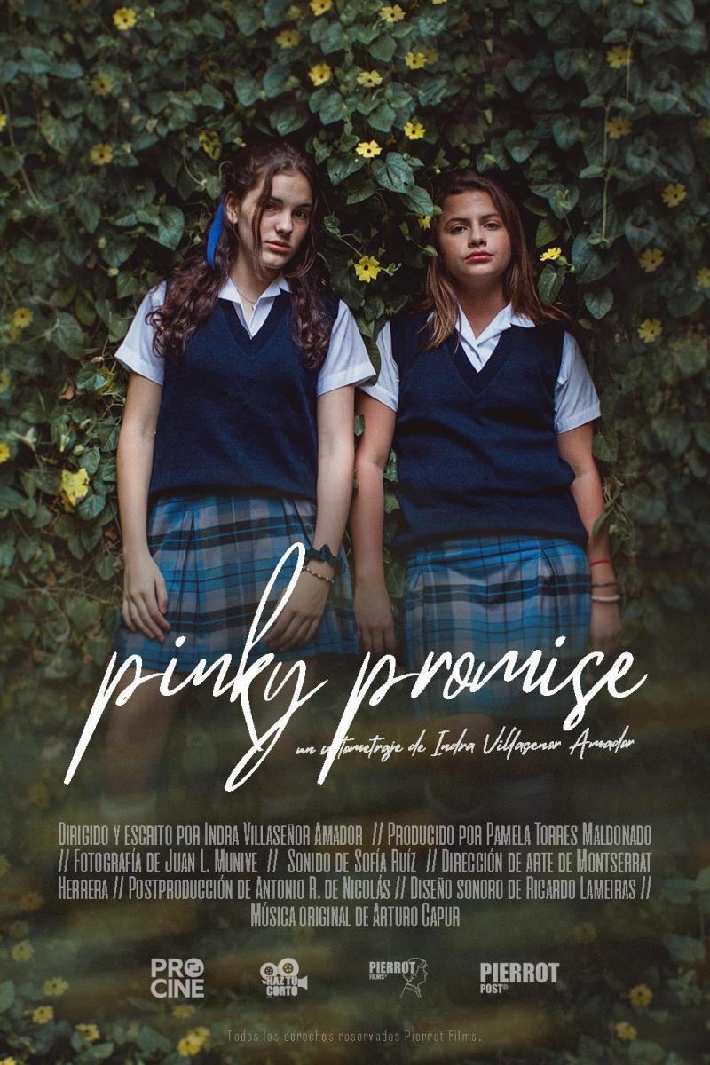 Sección visual de Pinky Promise (C) - FilmAffinity