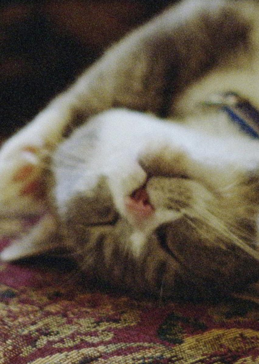 Image gallery for Pitcher of Colored Light (S) - FilmAffinity