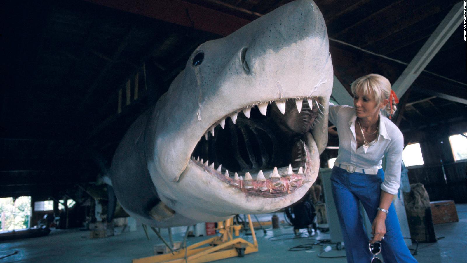 Image gallery for Playing with Sharks - FilmAffinity