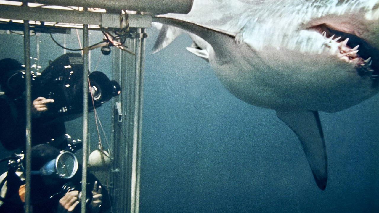 Image gallery for Playing with Sharks - FilmAffinity