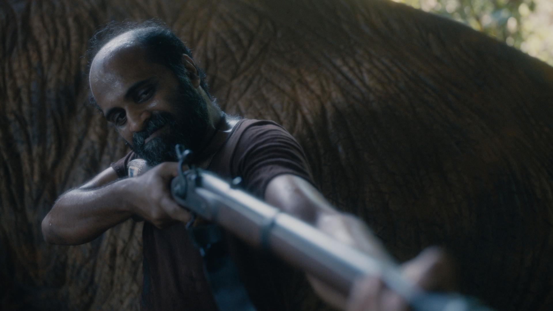 Sección visual de Poacher (Miniserie de TV) - FilmAffinity