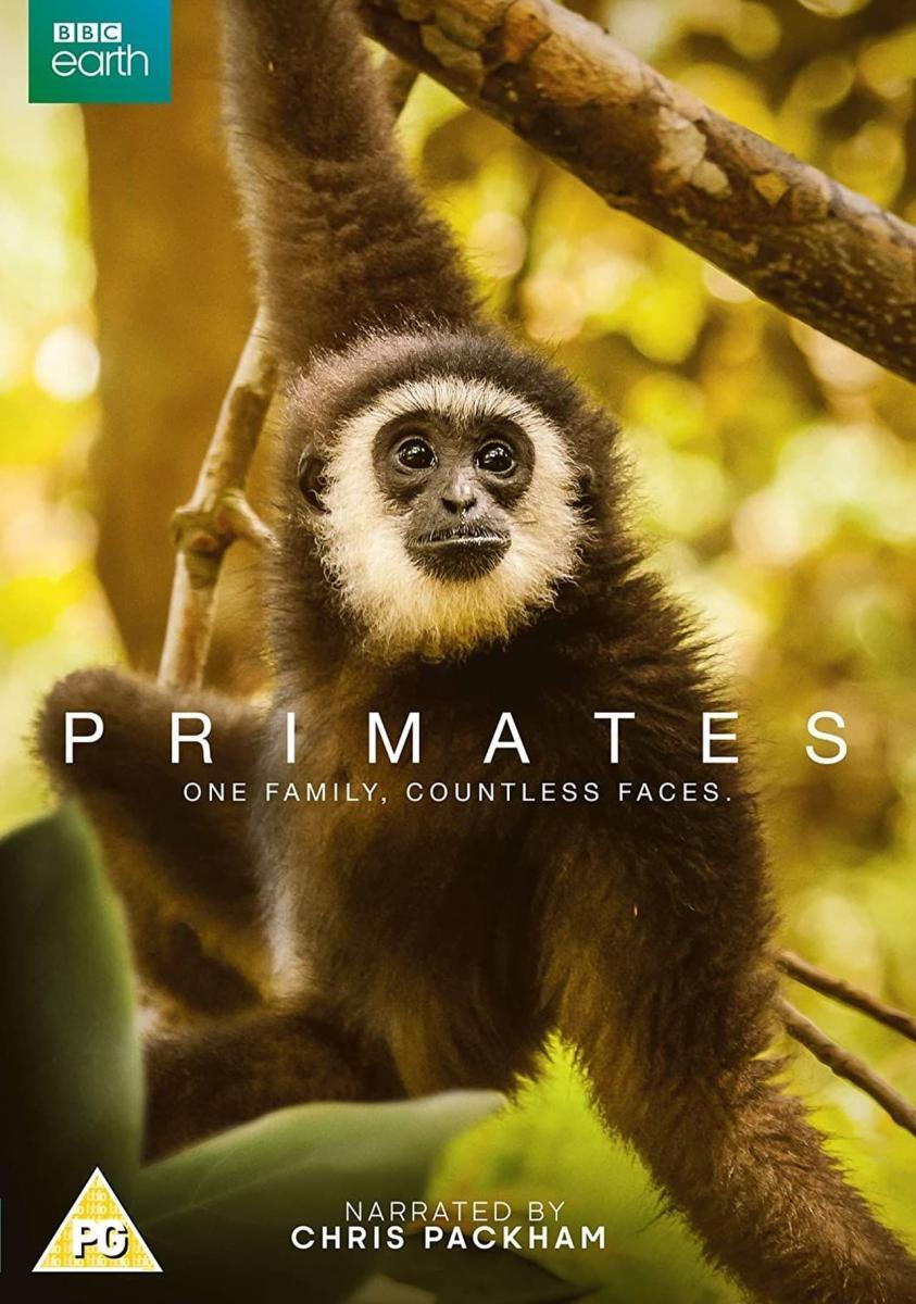 Sección visual de Primates (Miniserie de TV) - FilmAffinity