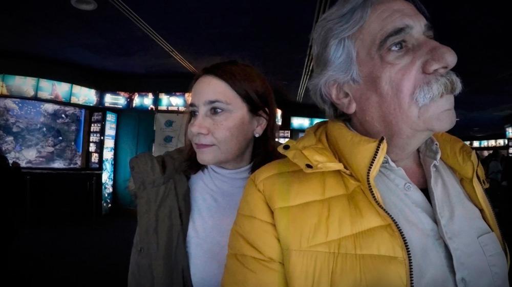 Sección visual de ProGo (C) - FilmAffinity