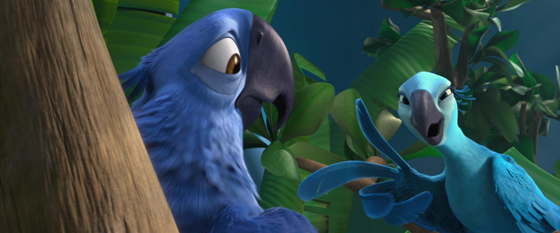 Sección visual de Río - FilmAffinity