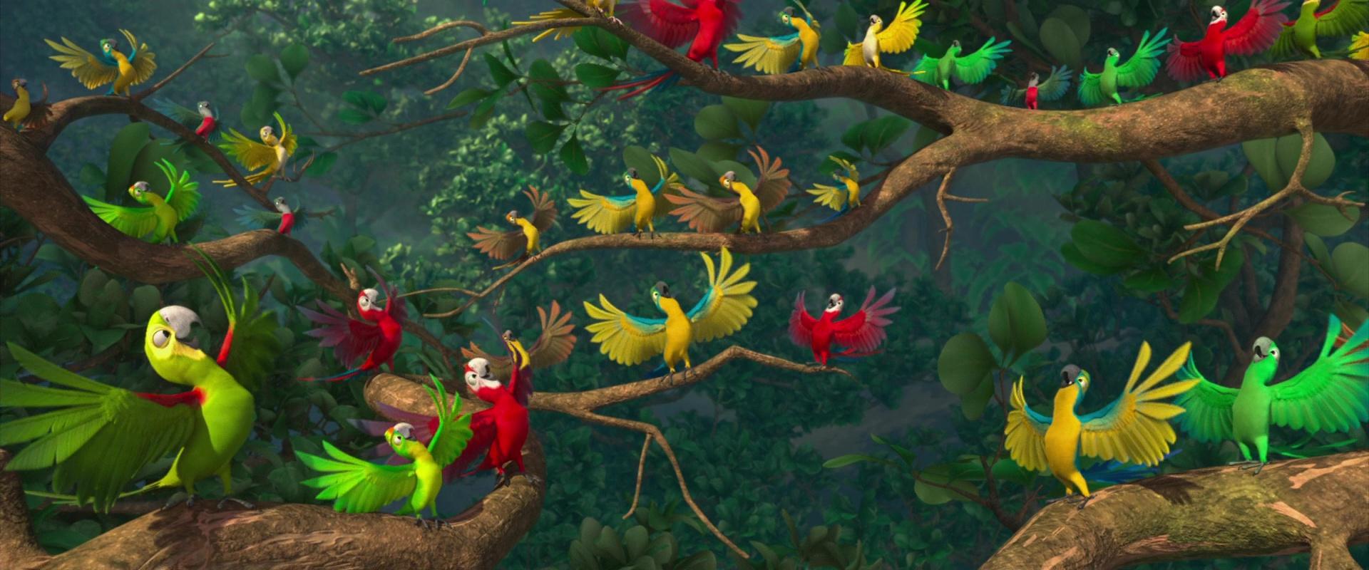 Sección visual de Río - FilmAffinity