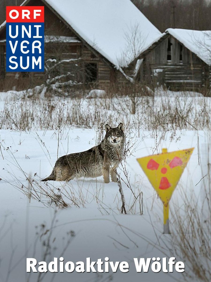 Image gallery for Radioactive Wolves: Chernobyl's Nuclear Wilderness ...