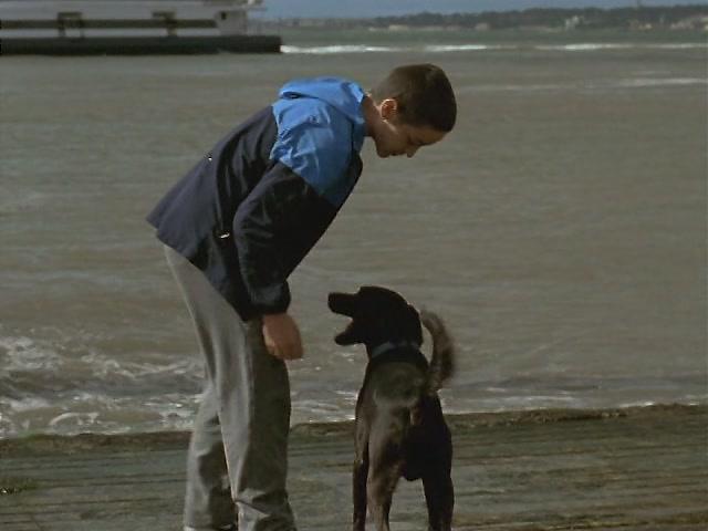 Image gallery for Rafa (S) - FilmAffinity