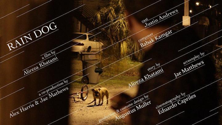 Image gallery for Rain Dog (S) - FilmAffinity