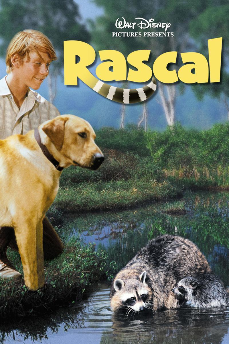 Image gallery for Rascal - FilmAffinity