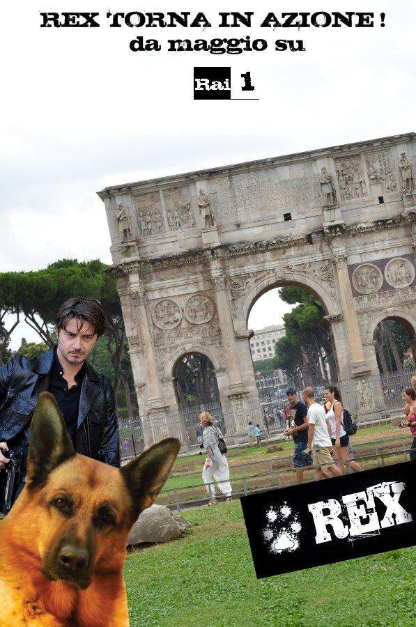 Rex (Serie de TV) (2008) - FilmAffinity