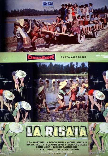 Image gallery for Rice Girl - FilmAffinity