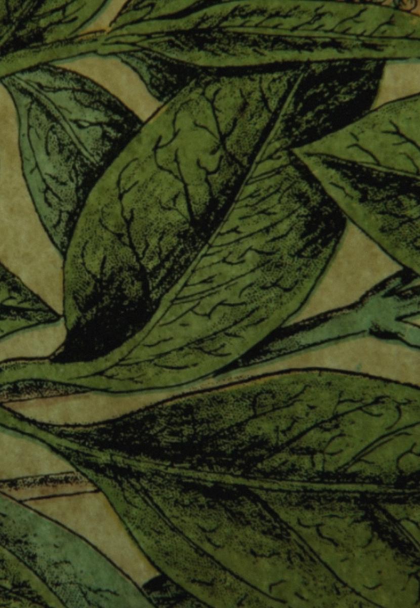 Sección visual de Ricky (C) - FilmAffinity