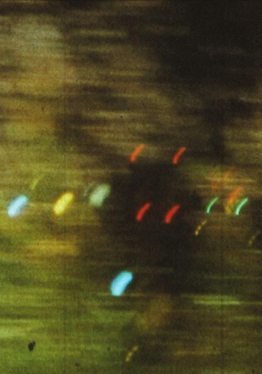 Image gallery for River Bank (S) - FilmAffinity