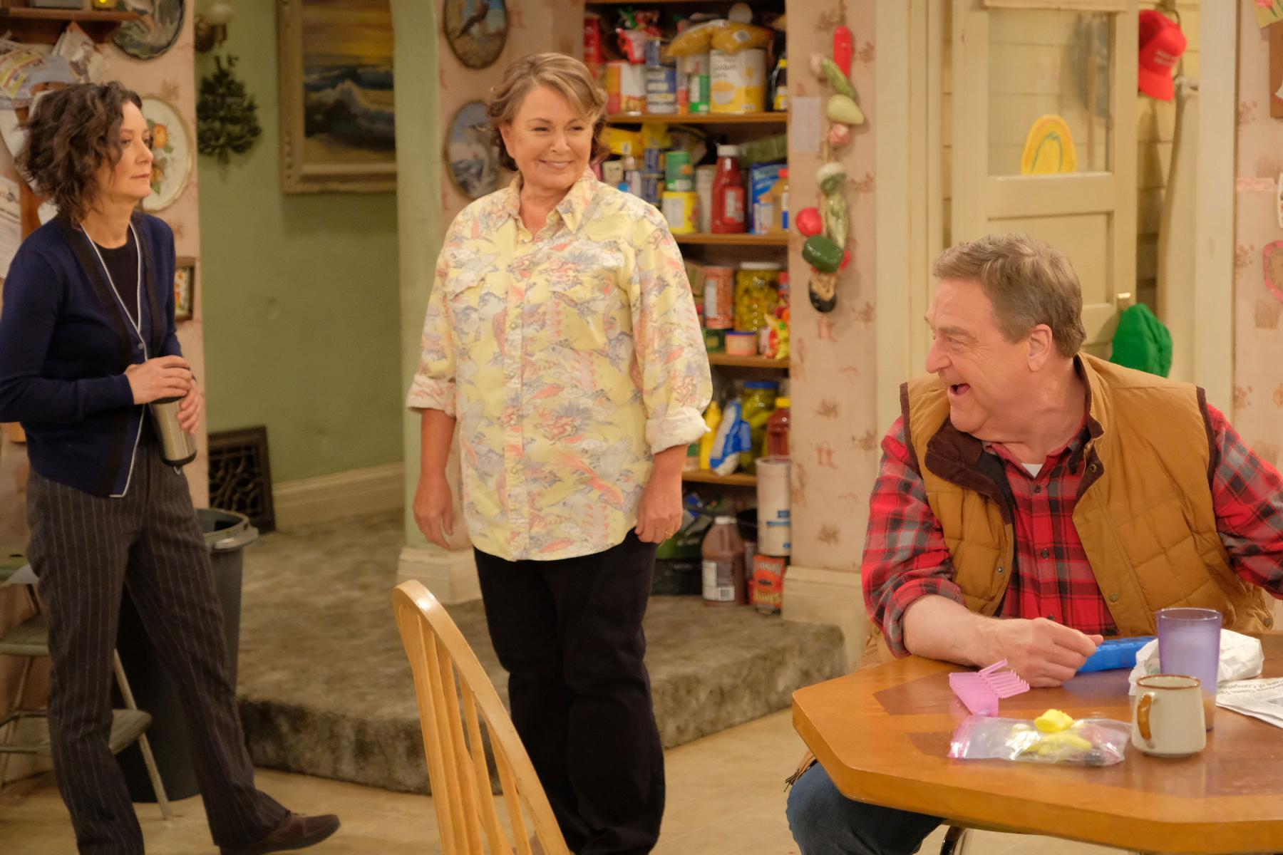 Sección visual de Roseanne (Serie de TV) - FilmAffinity