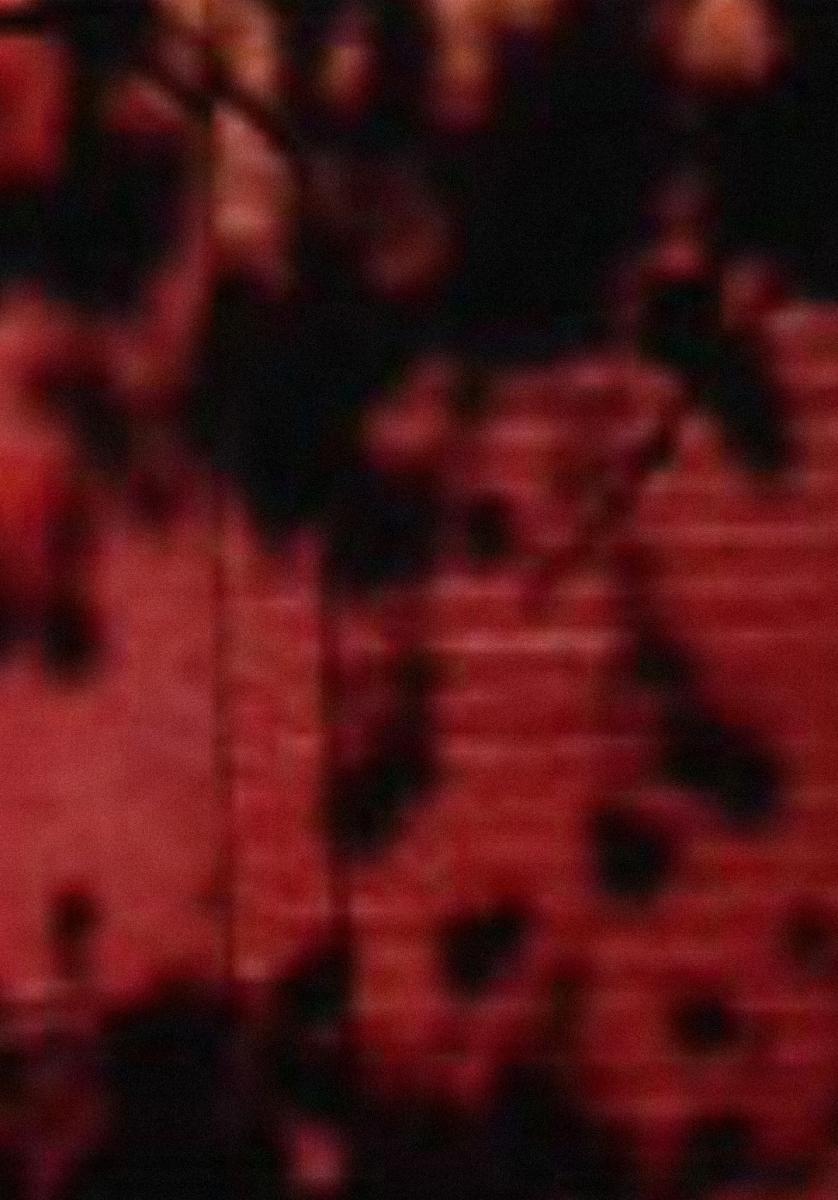 Sección visual de Schatten auf roter Wand (C) - FilmAffinity