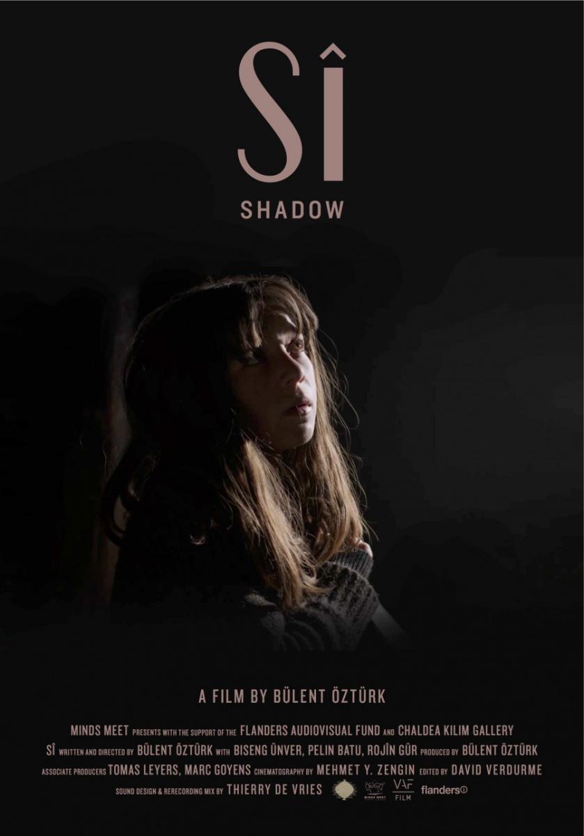 Image gallery for Shadow (S) - FilmAffinity