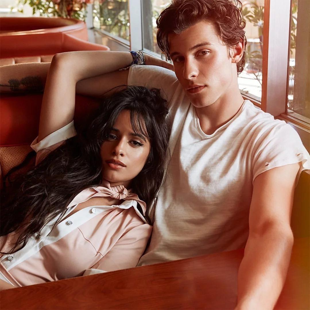 Sección visual de Shawn Mendes & Camila Cabello: Señorita (Vídeo ...