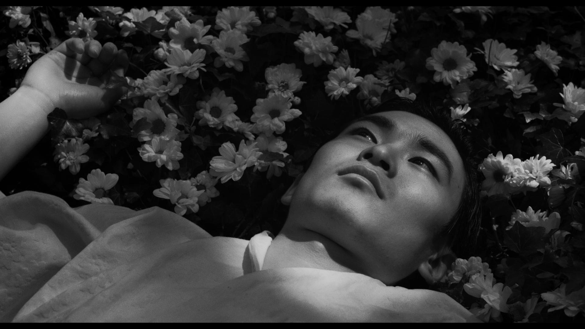 Sección visual de Shiro (C) - FilmAffinity