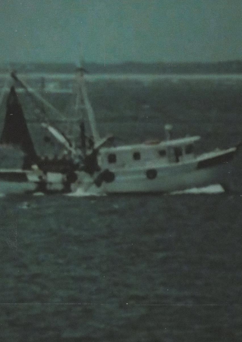 Image gallery for Shrimp Boat Log (S) - FilmAffinity