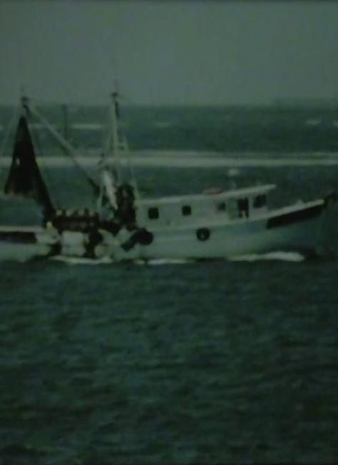 Image gallery for Shrimp Boat Log (S) - FilmAffinity