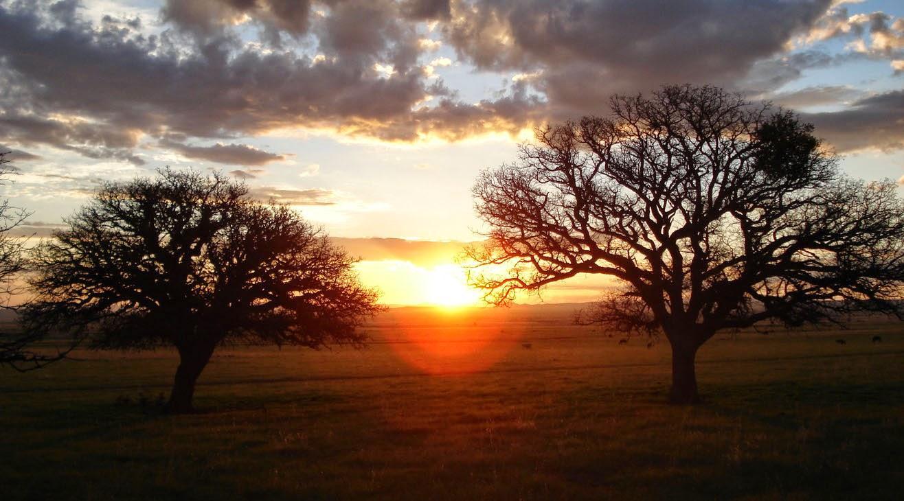 Image gallery for Silent Light - FilmAffinity