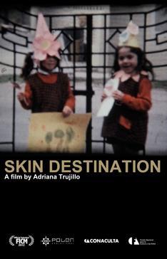 Sección visual de Skin Destination (C) - FilmAffinity