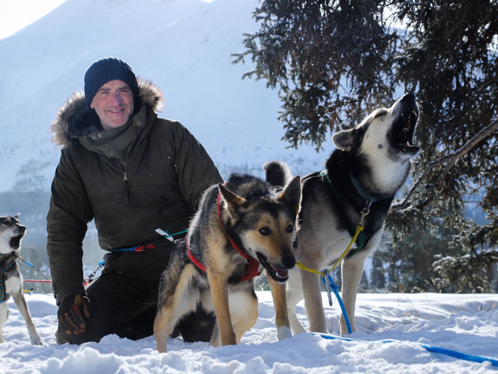 Image gallery for Snow Dogs with Gordon Buchanan - FilmAffinity