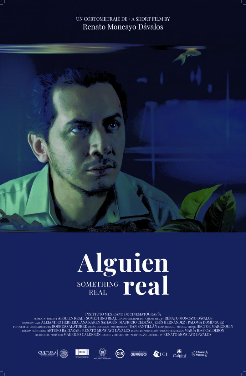 Image gallery for Something Real (S) - FilmAffinity