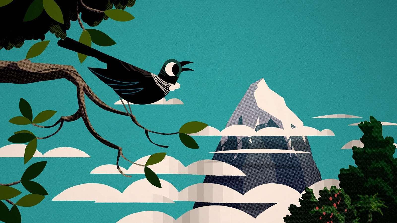 Image gallery for Spring Jam (S) - FilmAffinity