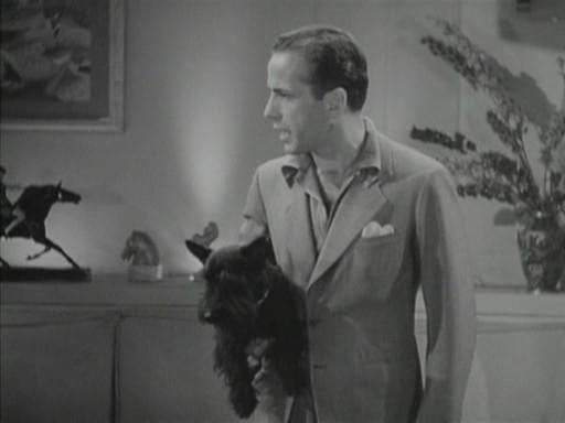 Image gallery for Stand-In - FilmAffinity