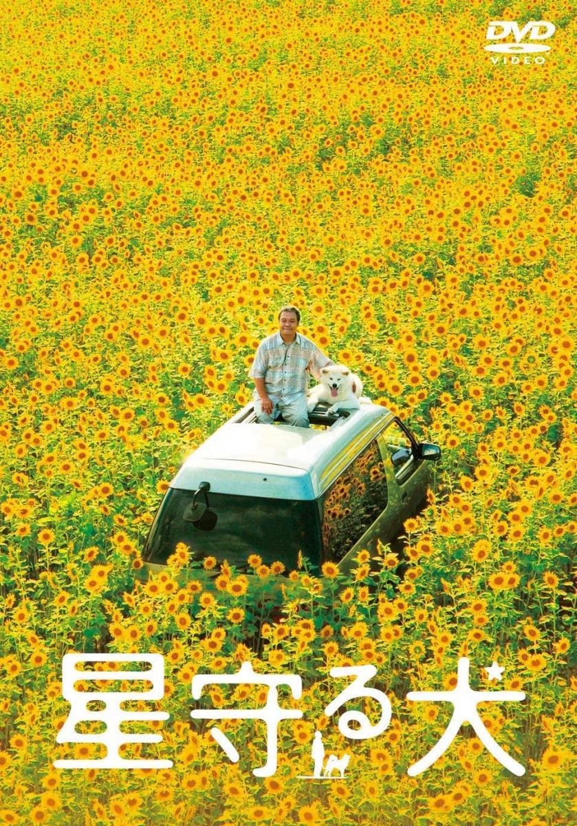 Image gallery for Star Watching Dog - FilmAffinity